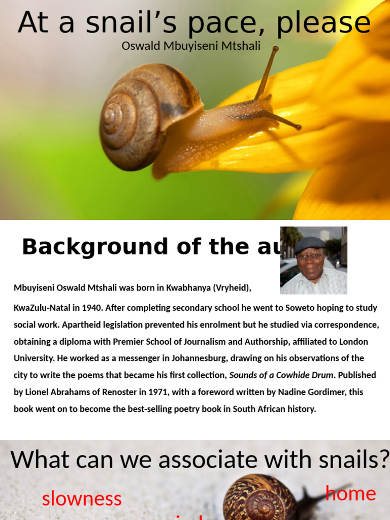 Analyzing "At a Snail's Pace, Please" | PDF