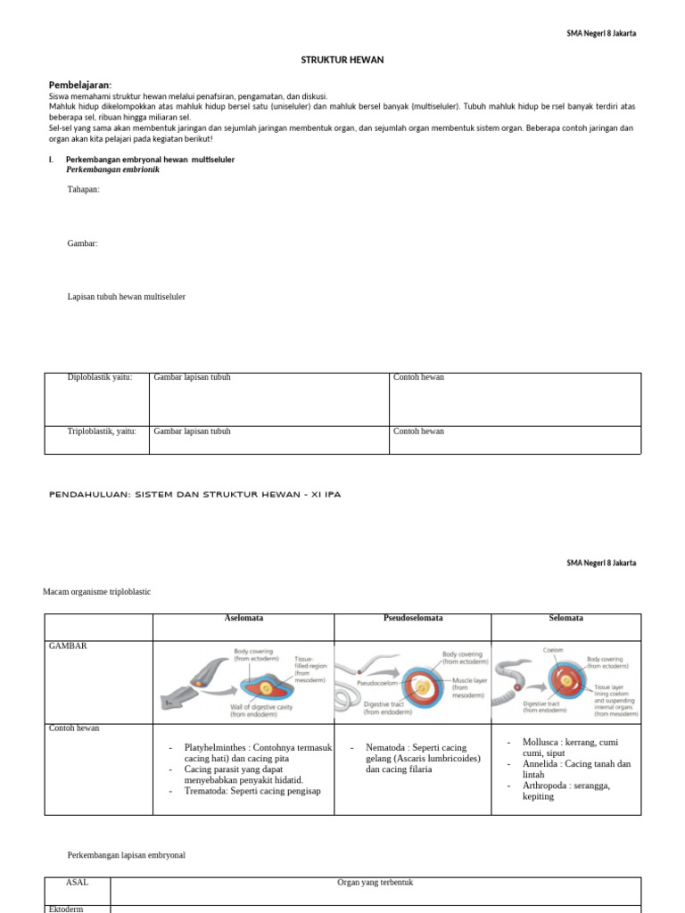 Struktur Hewan LKPD NONPRAKTIKUM | PDF
