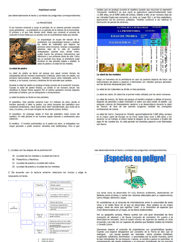 Preguntas de Comprensión Lectora y Vocabulario | PDF | Arqueología