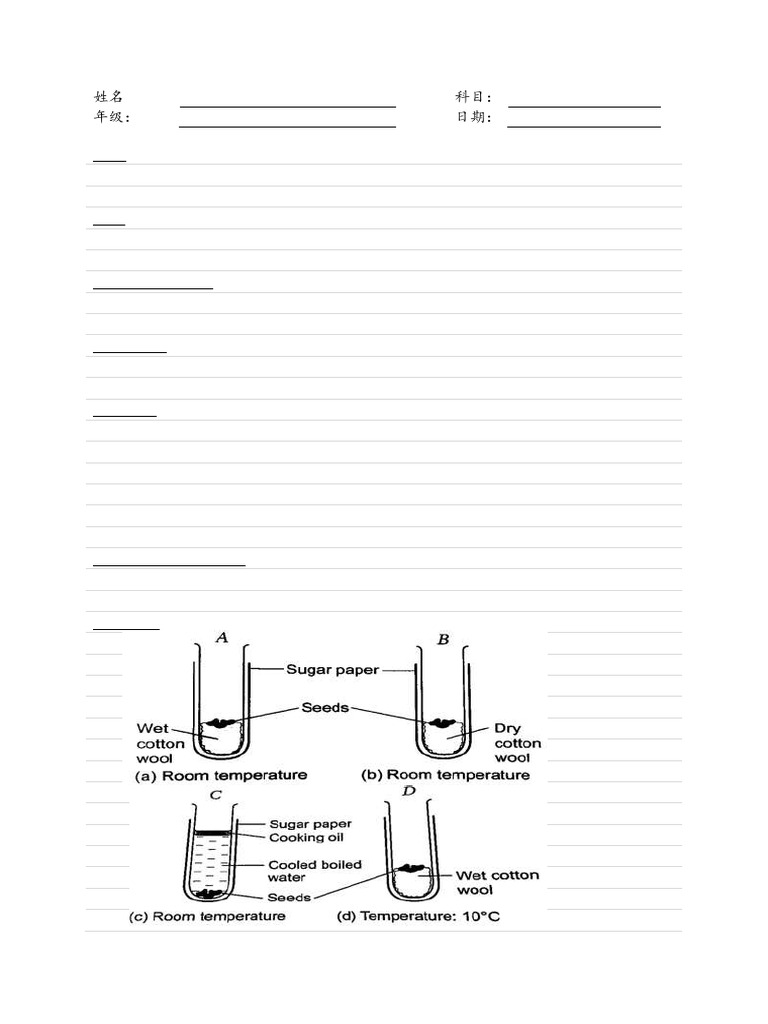 Experiment 8 Seed Germination | PDF