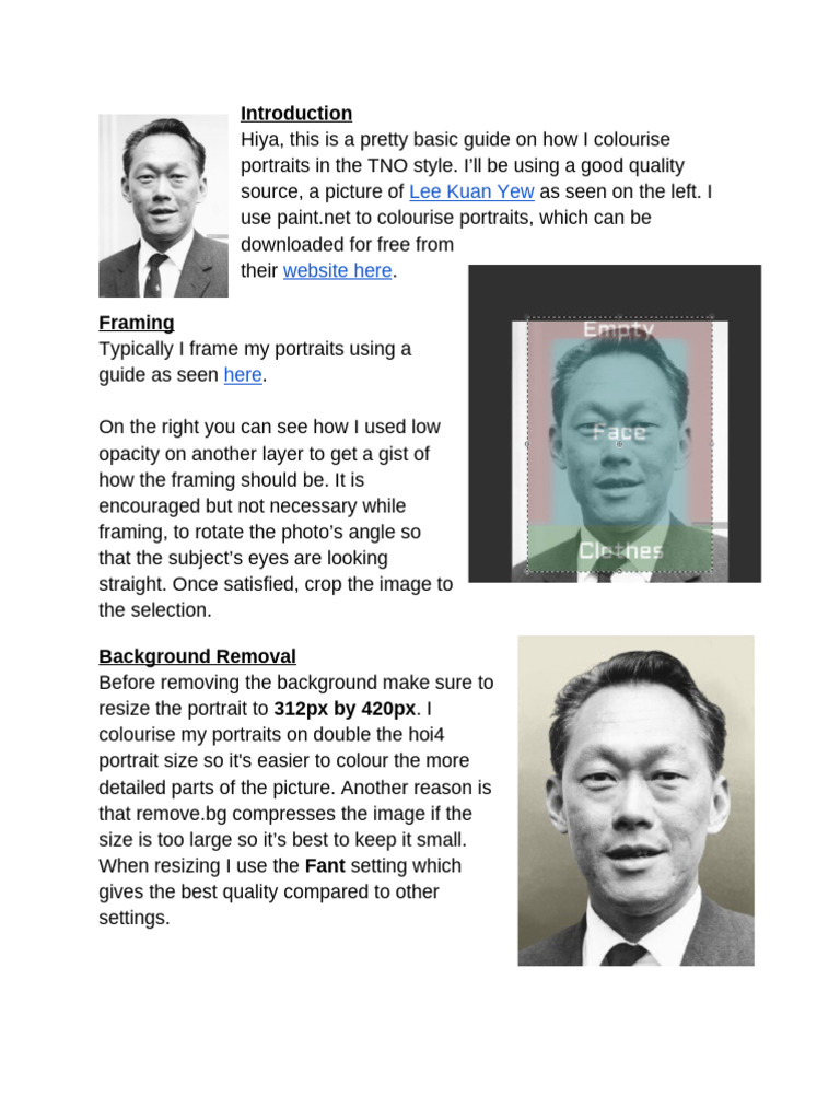TNO Portrait Colourising Tutorial | PDF | Vision | Imaging