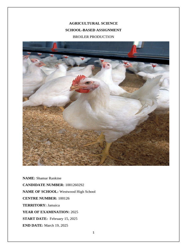 Agricultural Science Animal Sba Shamar Rankine | PDF | Chicken | Profit ...