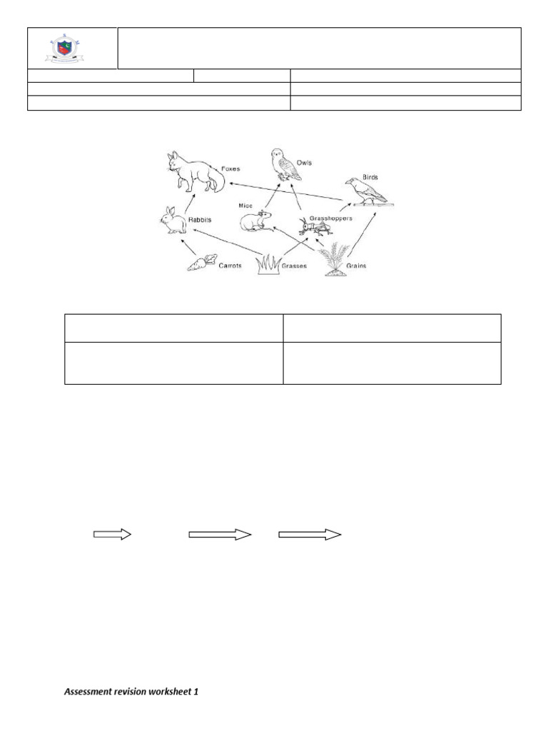 Revision Worksheet UNIT 5 | PDF