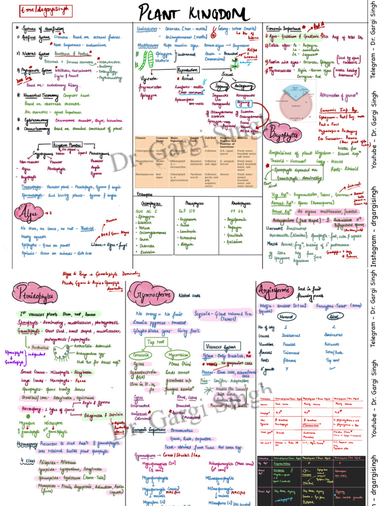 2 Page Notes - Plant Kingdom | PDF | Biology | Organisms