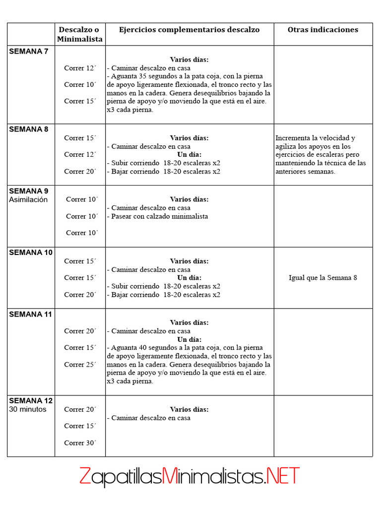 Plan Minimalista Empezando de Cero II | PDF