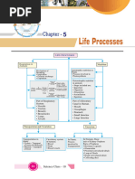 Class 10 Science CH 1 | PDF