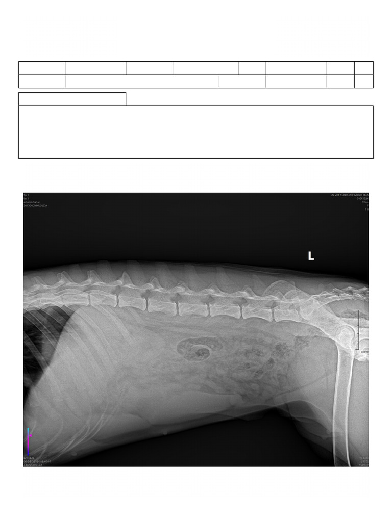 Patient ID Study Desc. DOB Sex Age Study Date | PDF