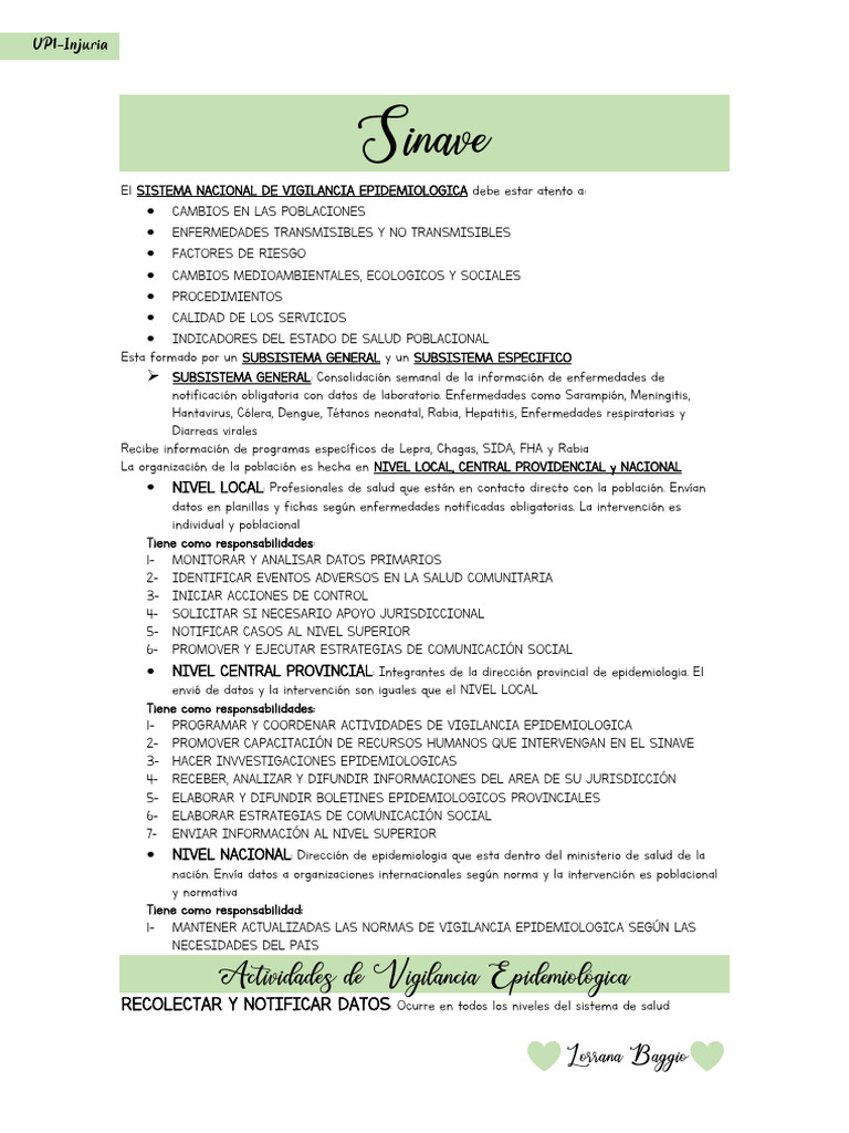 Sinave | PDF | Medicina