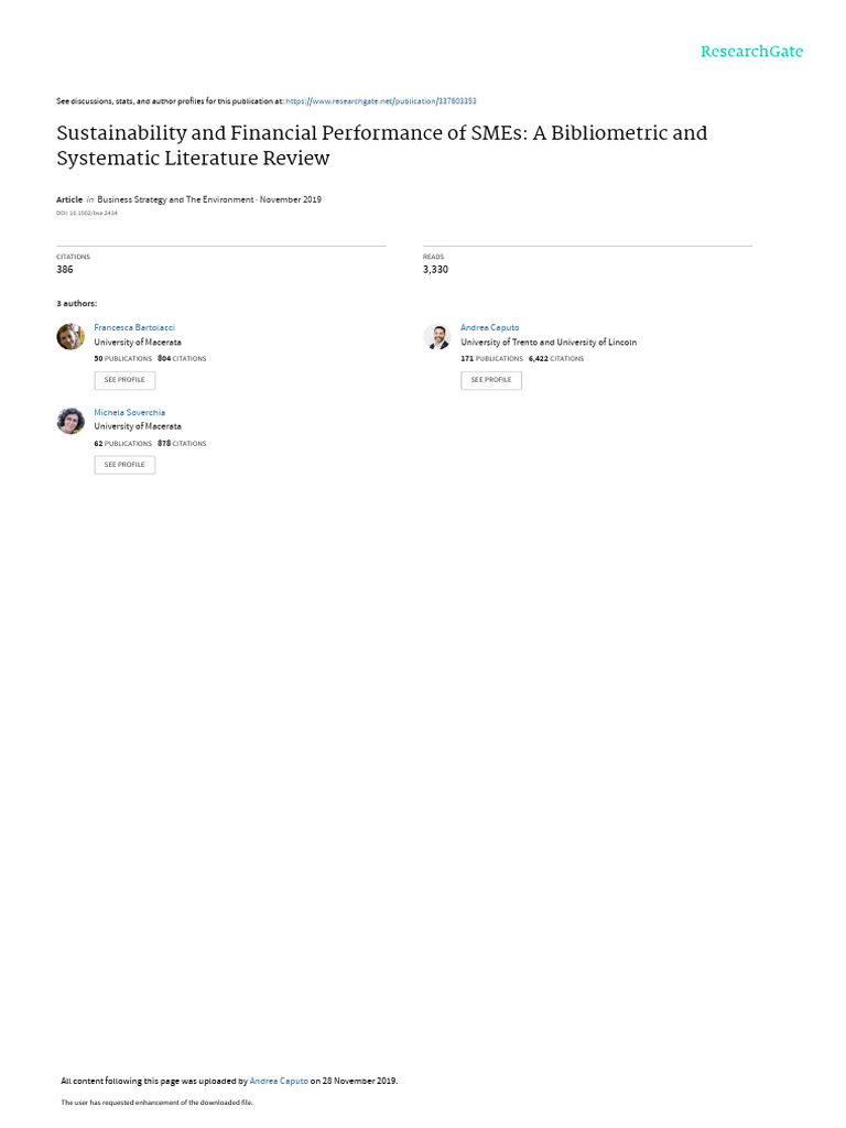 Sustainabilityandperformanceof SMEs | PDF | Information Science | Science