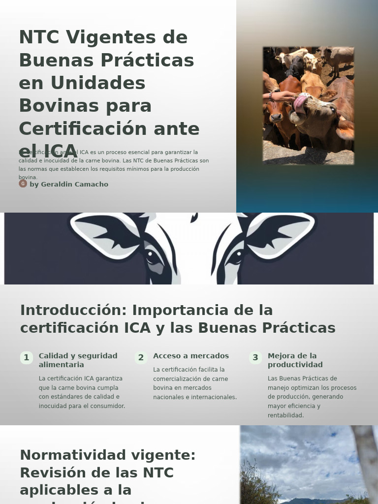 Vigentes de Buenas Practicas en Unidades Bovinas para Certificación ...