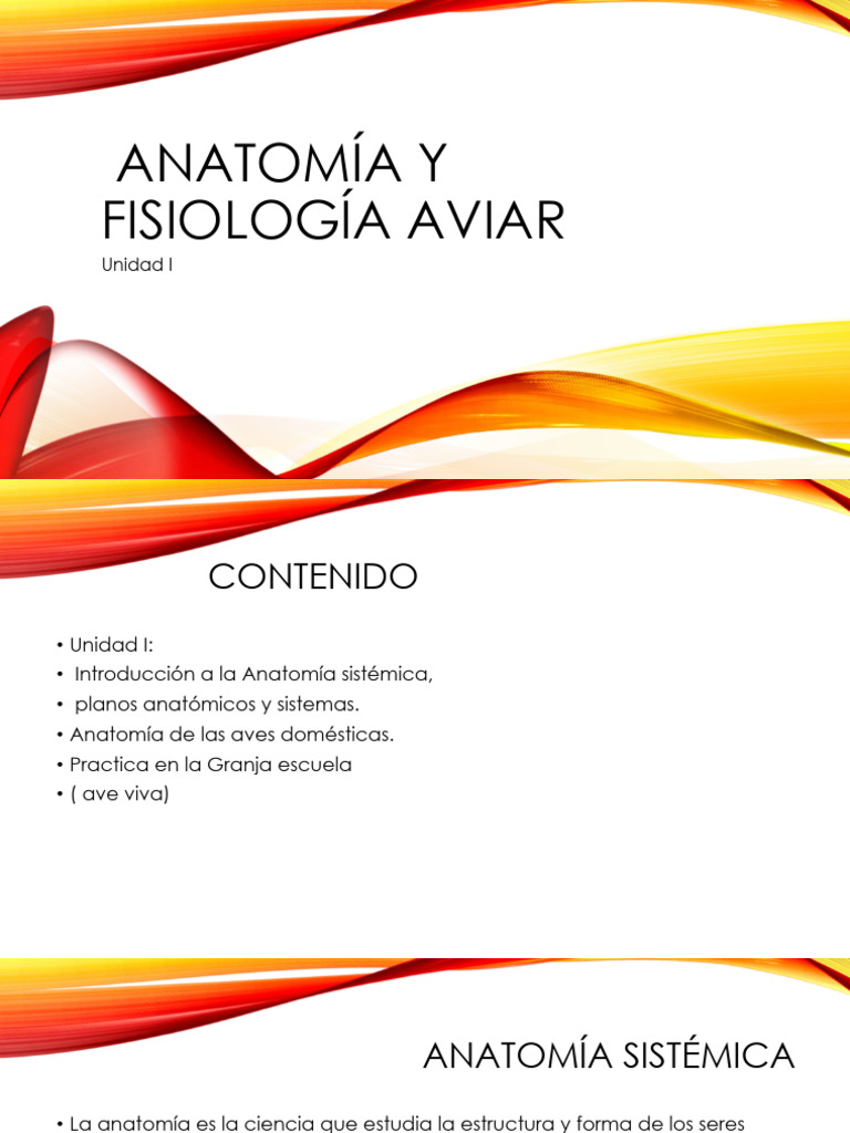 Anatom-A y Fisiolog-A Aviar Unidad I | PDF