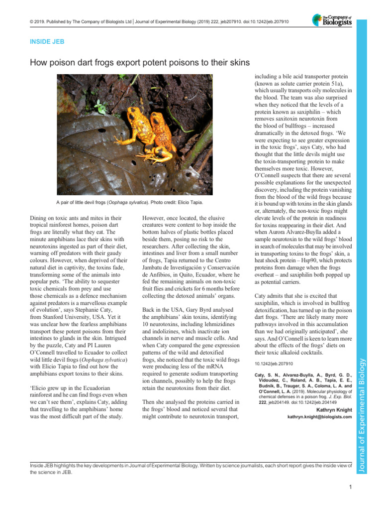 How Poison Dart Frogs Export Potent Poisons To Their Skins | PDF | Frog ...
