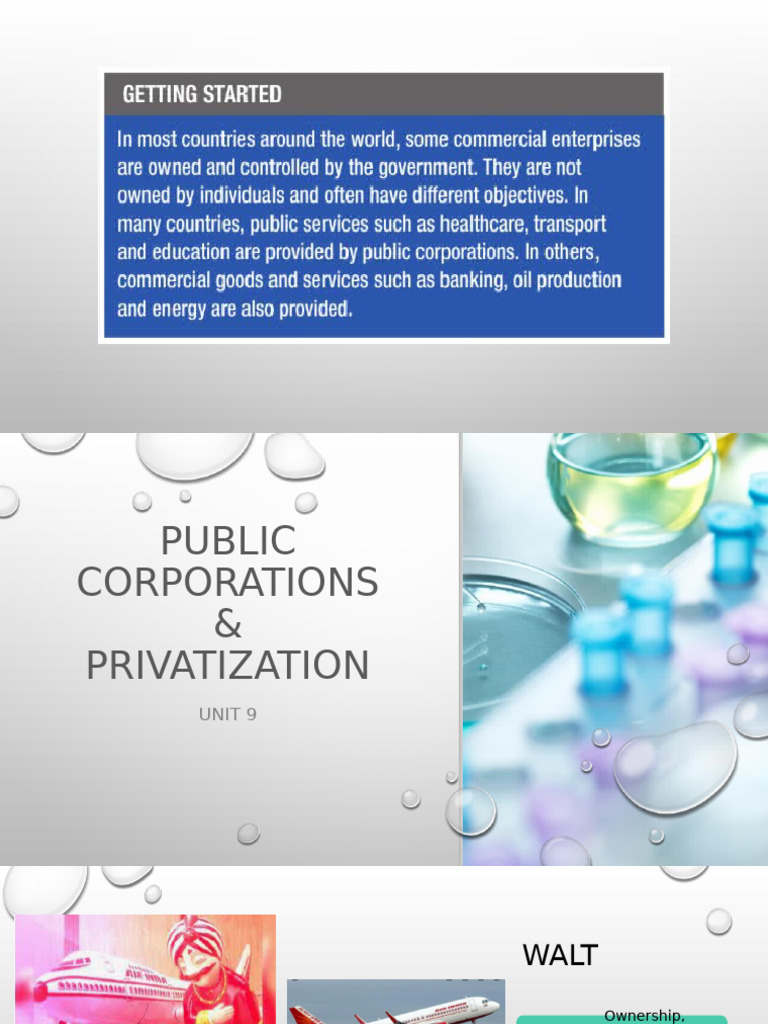 Public Corporations and Privatization Debate | PDF | Privatization ...