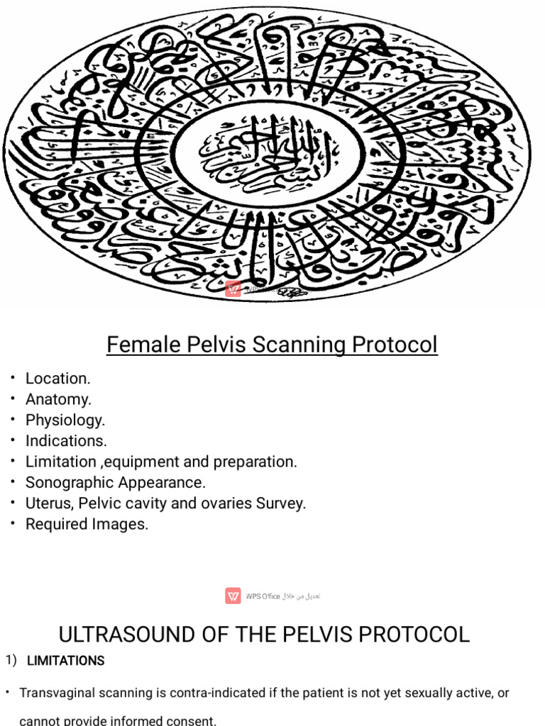 2.female Pelvic Scanning Protocole | PDF | Uterus | Ovary