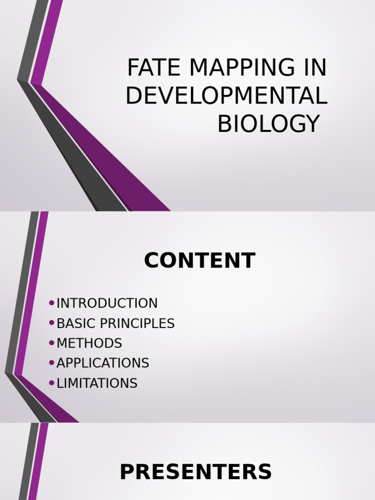 Fate Mapping in Developmental Biology | PDF | Cellular Differentiation ...
