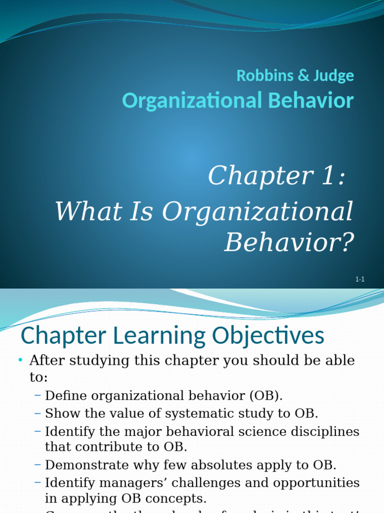 OB - Chapter 1 - Introduction | PDF | Leadership | Organizational Behavior
