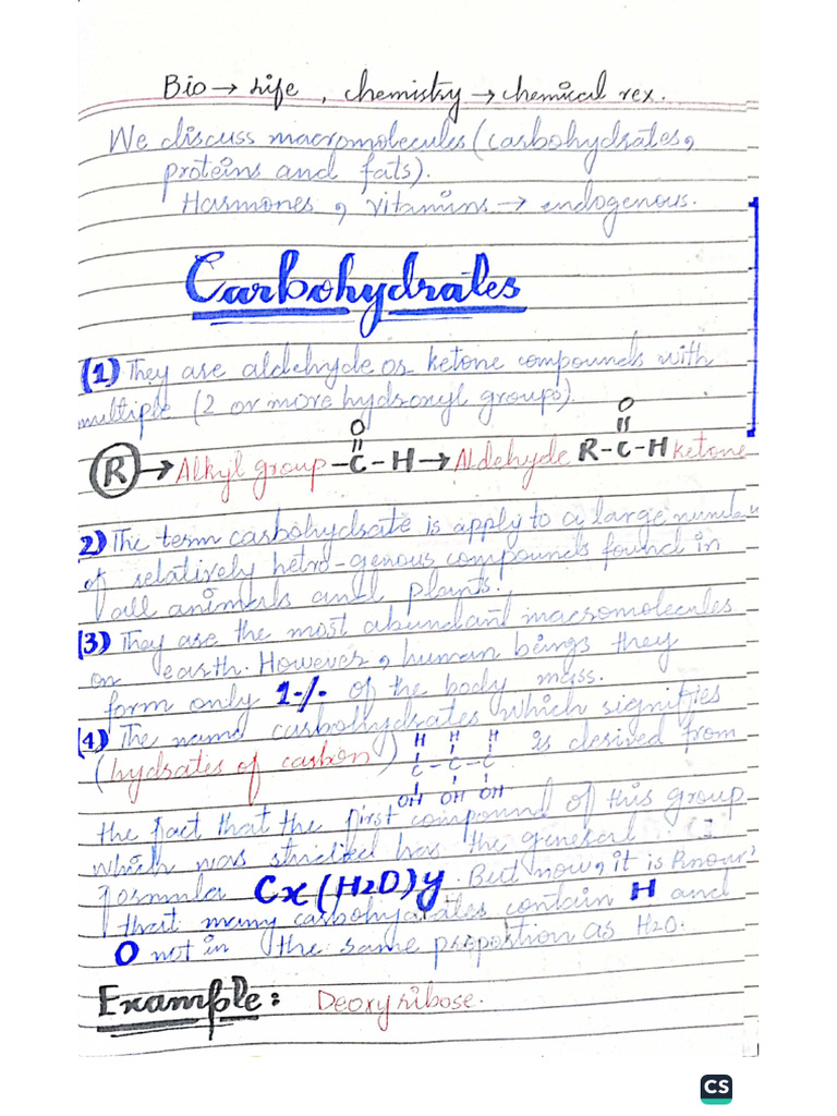 Carbohydrates Maryam Notes | PDF