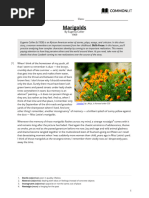 Marigolds Full Text | PDF