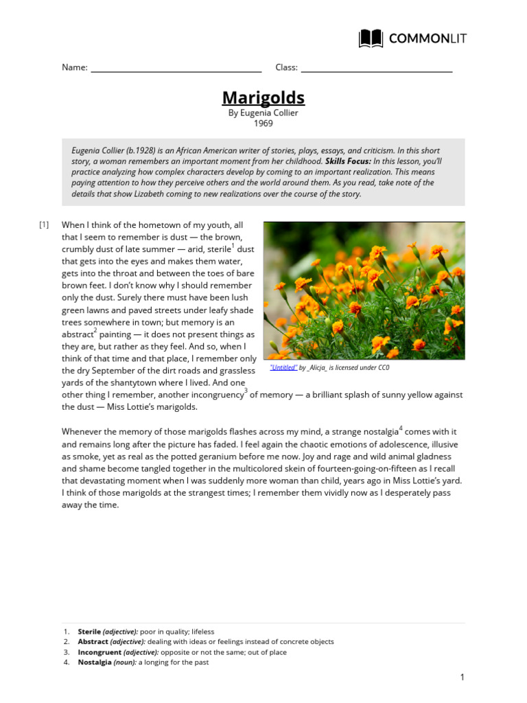 Marigolds Eugenia Collier | PDF