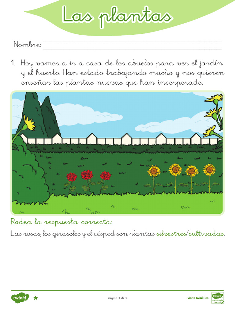 Es SC 1721728827 Examen Competencial Las Plantas Primer Ciclo - Ver - 3 ...