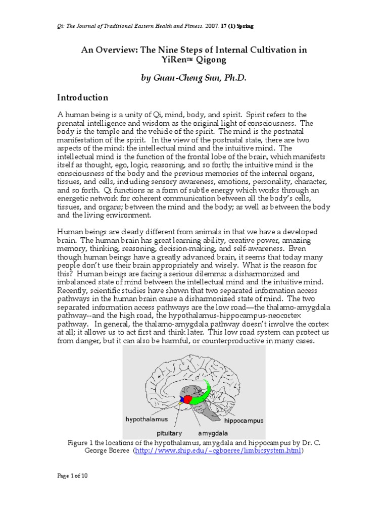 The Nine Steps of Internal Cultivation | PDF | Qigong | Qi