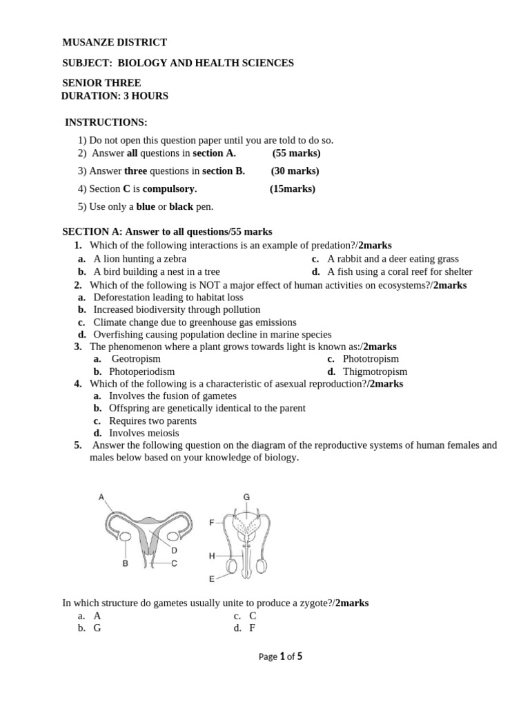 S3 Biology Exam Paper and Answers | PDF | Human Body | Circulatory System