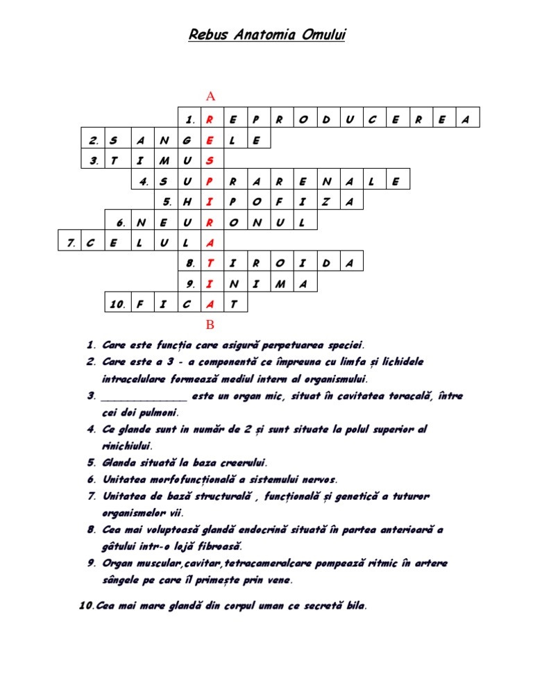 Rebus - Bio | PDF