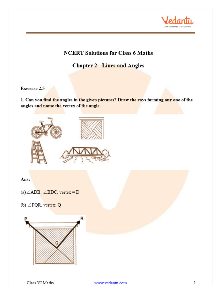 NCERT Solutions For Class 6 Maths Chapter 2 Lines and Angles Ex 2.5 ...