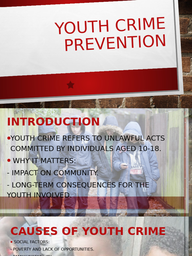 Youth Crime Prevention Strategies | PDF