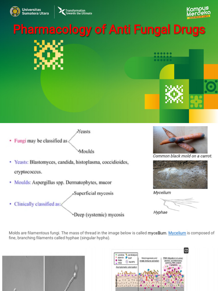 DMS1-K29 Farmakologi Obat Anti Jamur | PDF