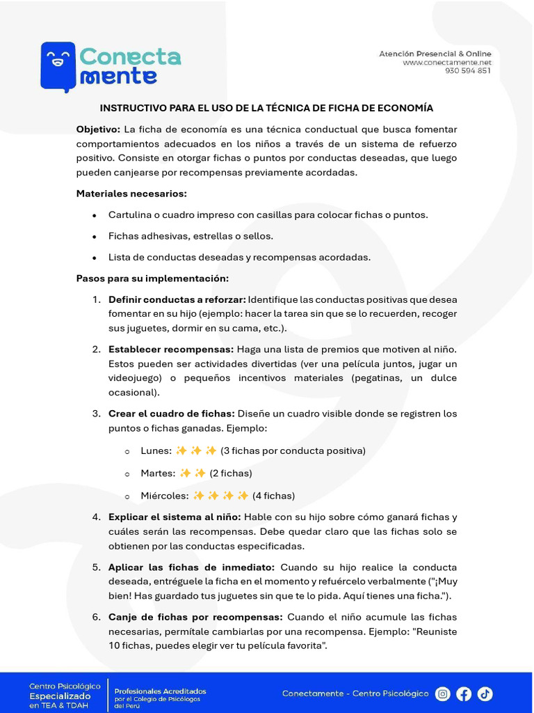 INSTRUCTIVO PARA EL USO DE LA TÉCNICA DE FICHA DE ECONOMÍA | PDF