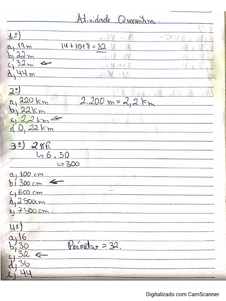 Atividade Nivelamento | PDF