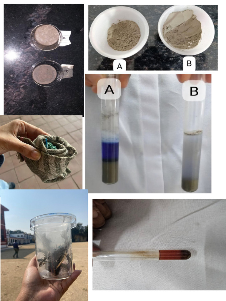 Minor Practical Images | PDF