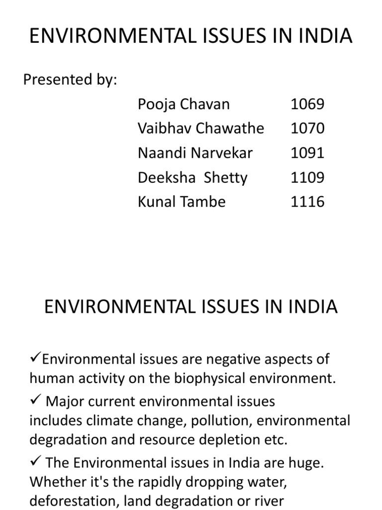 Environmental Issues in India | PDF | Natural Environment ...