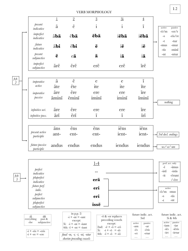 1.2 U1.1.1 VERB MORPHOLOGY All Infixes 2018 | PDF | Syntax | Linguistic Typology