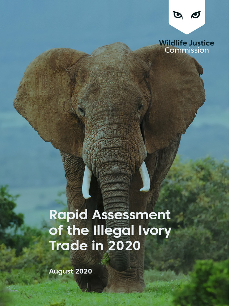 WildlifeJusticeCommission2020_Rapid-Assessment-Of-The-Illegal-Ivory ...