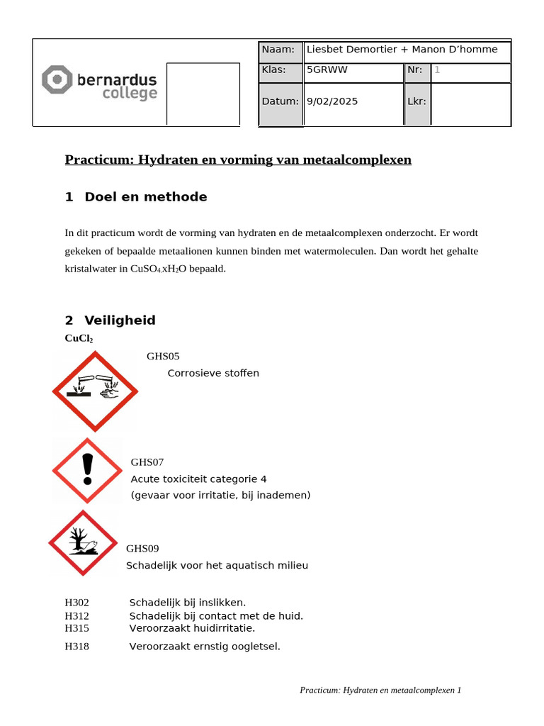 5CH - Voorbereiding P2 - Sjabloon 1 | PDF