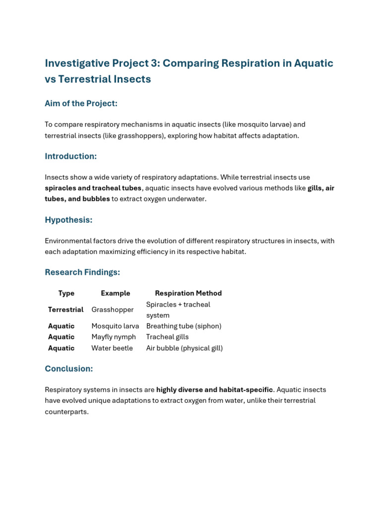 Insect Respiration: Aquatic vs Terrestrial | PDF
