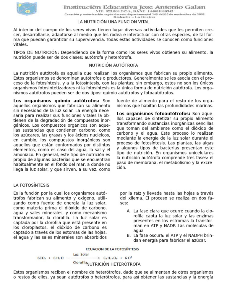 LA NUTRICIÓN UNA FUNCION VITAL | PDF | Digestión | Nutrición