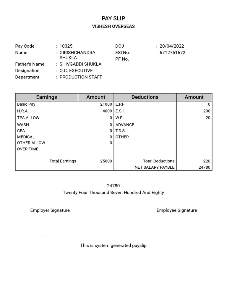 Payslip 1748358485 | PDF