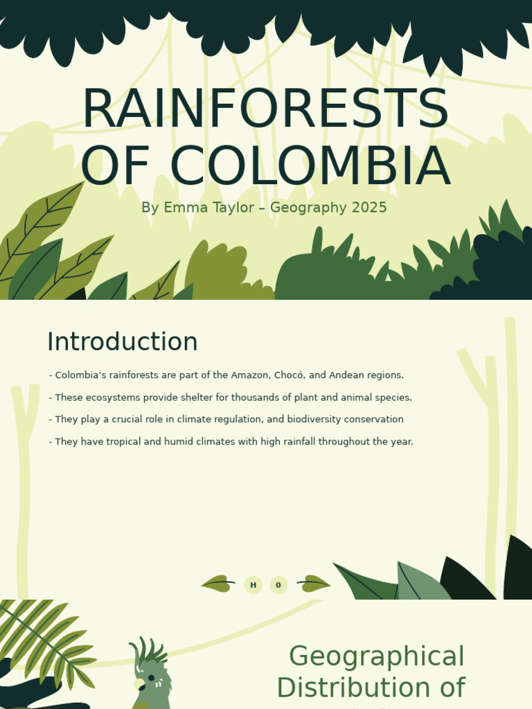Emmataylor geo rainforests 2025 | PDF | Rainforest | Forests