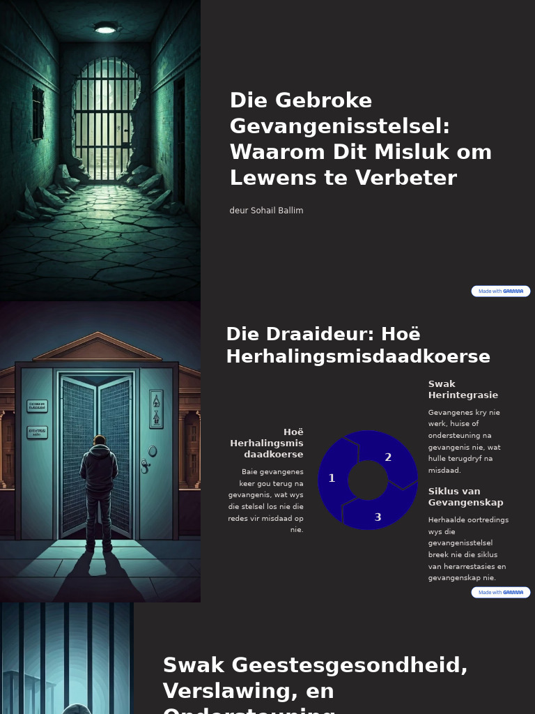 Die Gebroke Gevangenisstelsel Waarom Dit Misluk Om Lewens Te Verbeter | PDF
