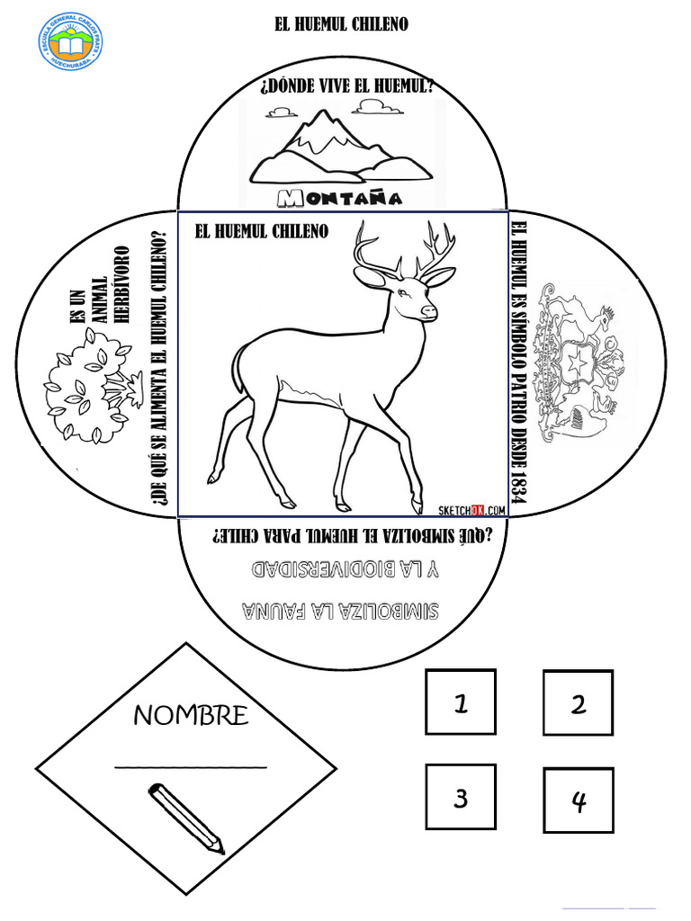 Libro Desplegable Huemul | PDF