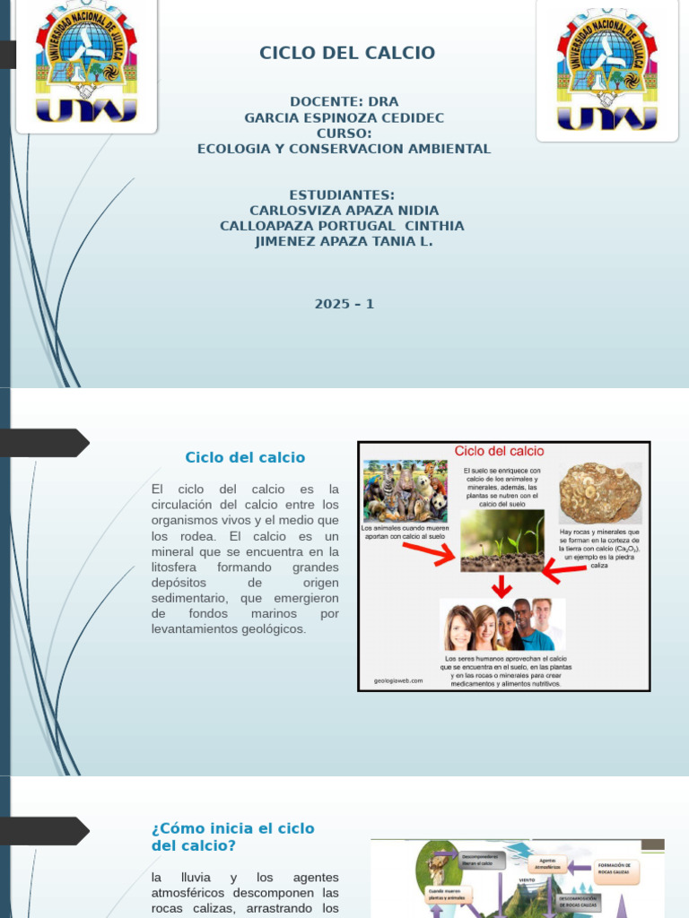 Diapositivas Ciclo Del Calcio | PDF | Calcio | Caliza
