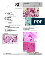 Robbins Pathology Lecture Notes Summary | PDF | Immune System | Antibody