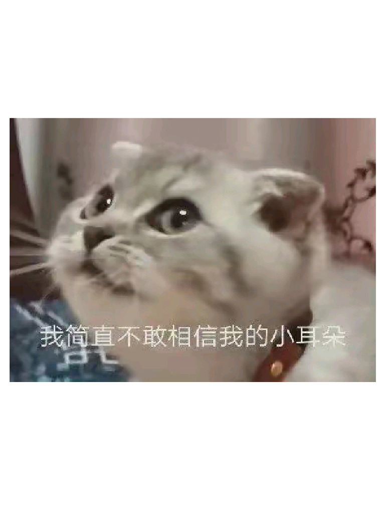 PDF Gallery - 20250528 - 001802 | PDF