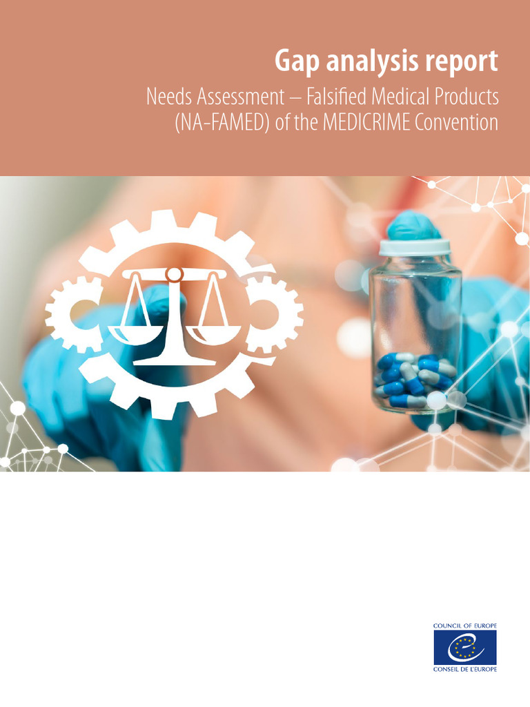 Gap Analysis Report | PDF | Aiding And Abetting | Crimes