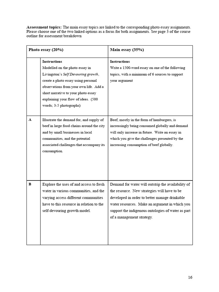 Ant 231 Main Essay and Photo Essay Instructions | PDF