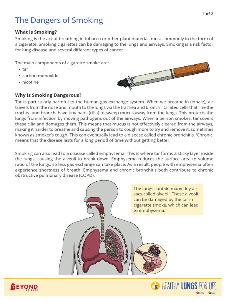The Dangers of Smoking Reading Comprehension | PDF | Respiratory Tract ...