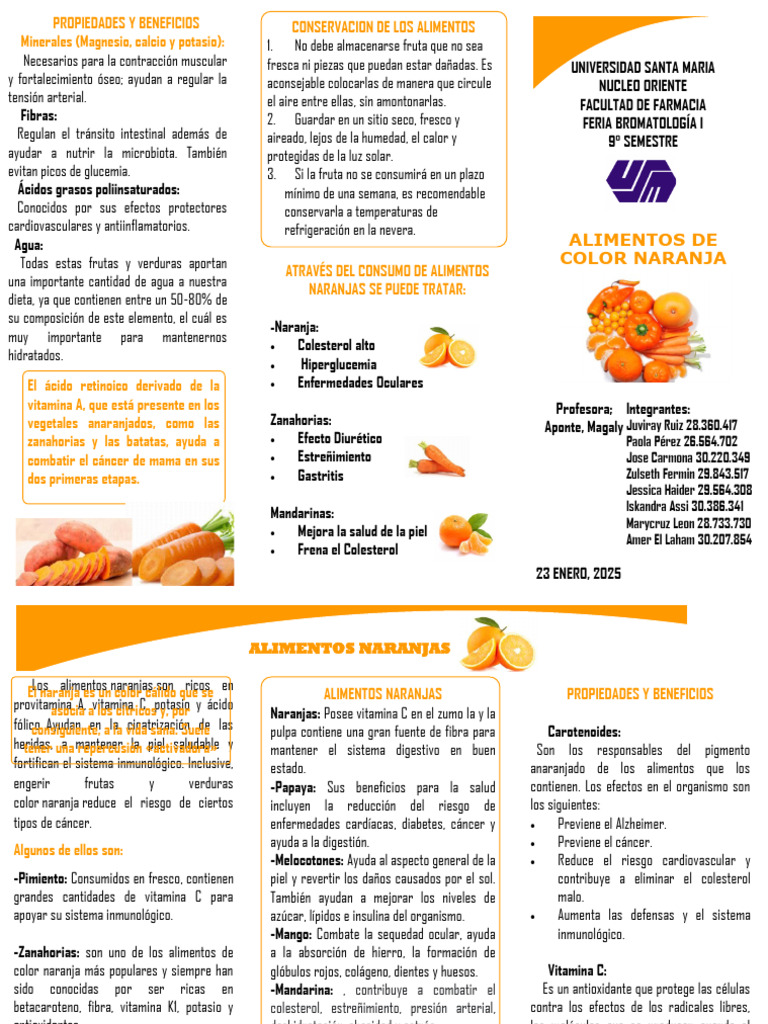 TRIPTICO ALIMENTOS naranjas | PDF | Fruta | Alimentos
